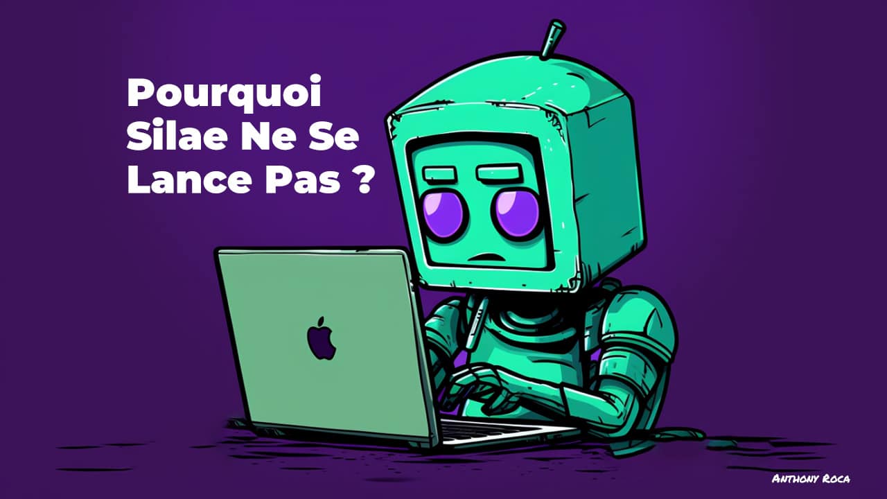Pourquoi Silae Ne Se Lance Pas ? - La Paie Facile